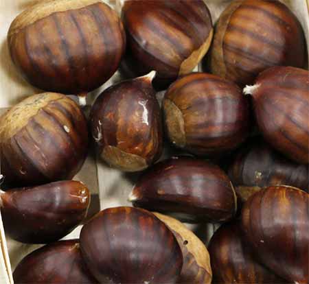 Castagne calabresi: Minuta di Mammola - ARSAC Servizi in Agricoltura ...