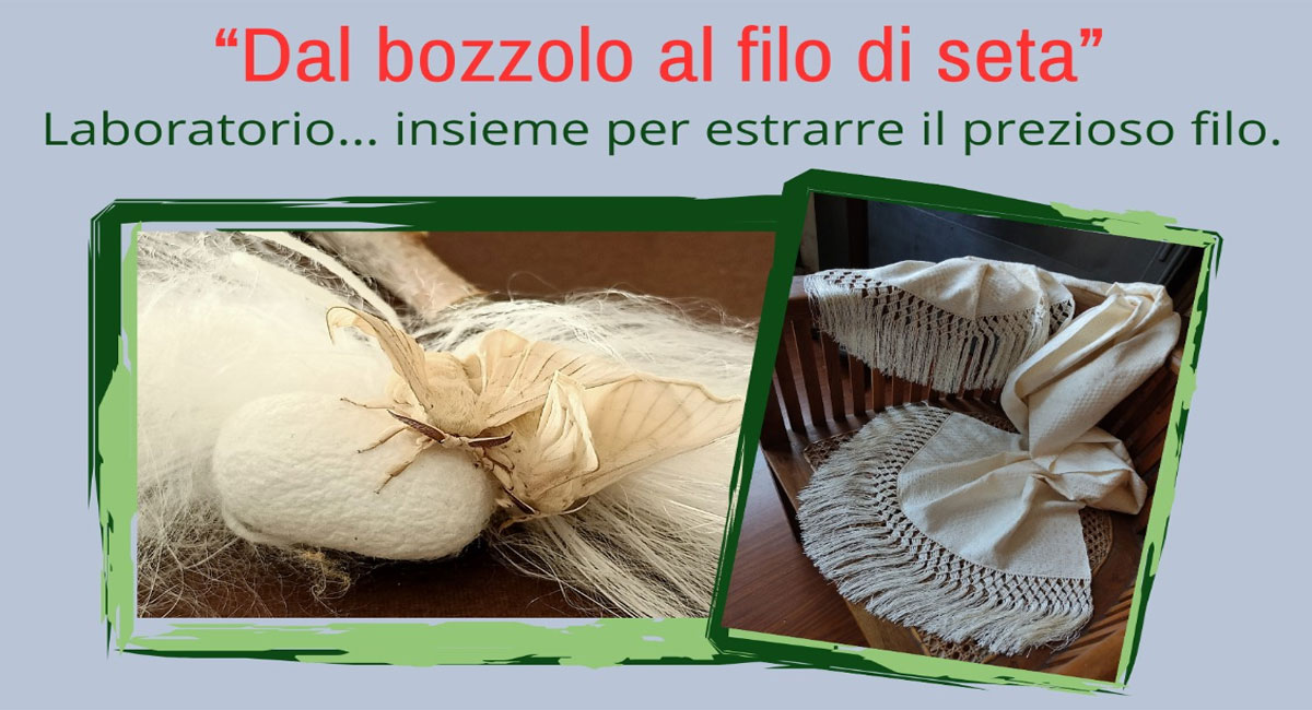 “Dal bozzolo al filo di seta…. insieme per estrarre il prezioso filo “è ...